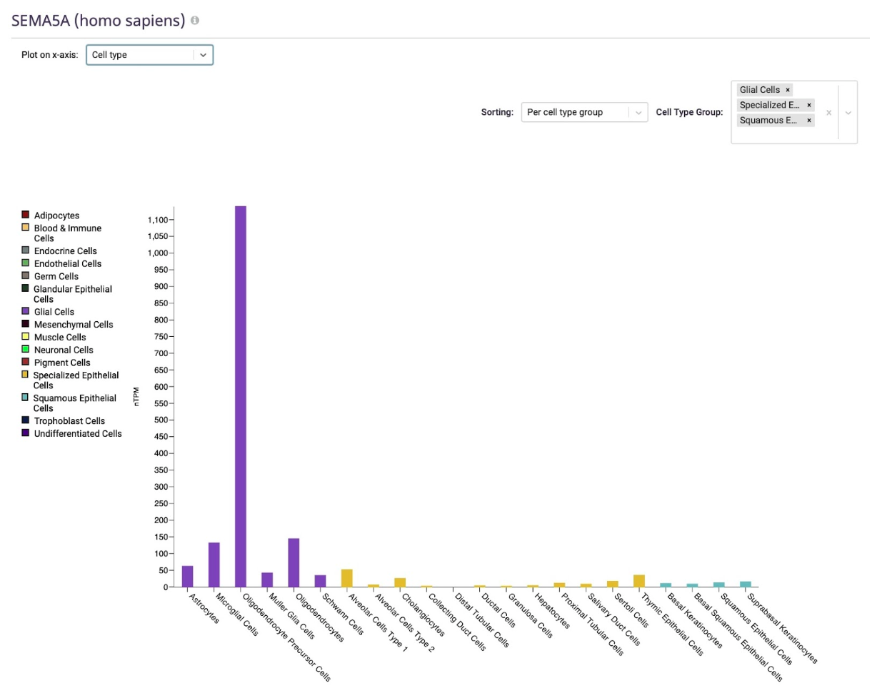 Introducing Single-Cell Transcriptomics to the Euretos Platform